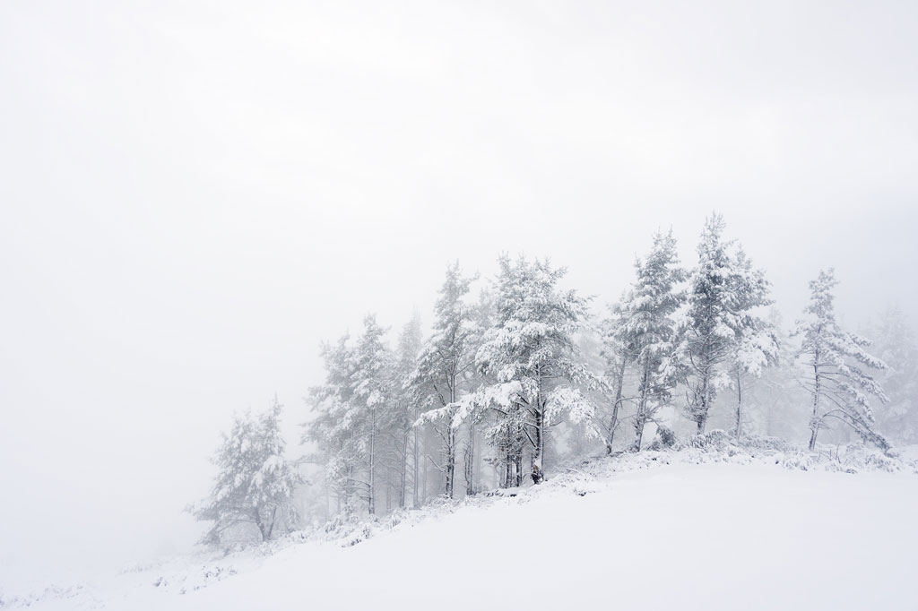 Todo sobre la fotografía en clave alta - Revista Gadget