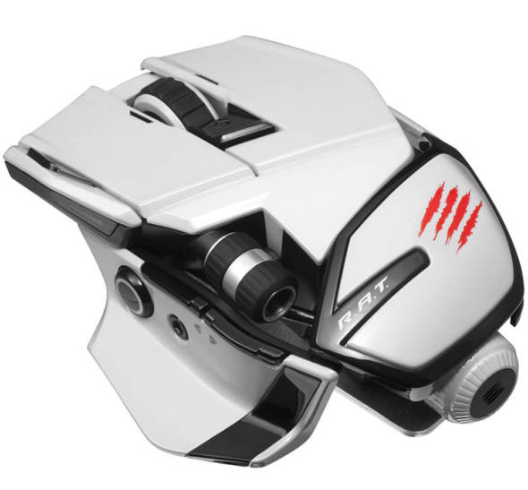 Los ratones más raros del mundo (II) - Revista Gadget