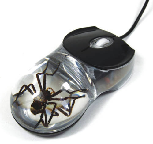 Los ratones más raros del mundo (II) - Revista Gadget